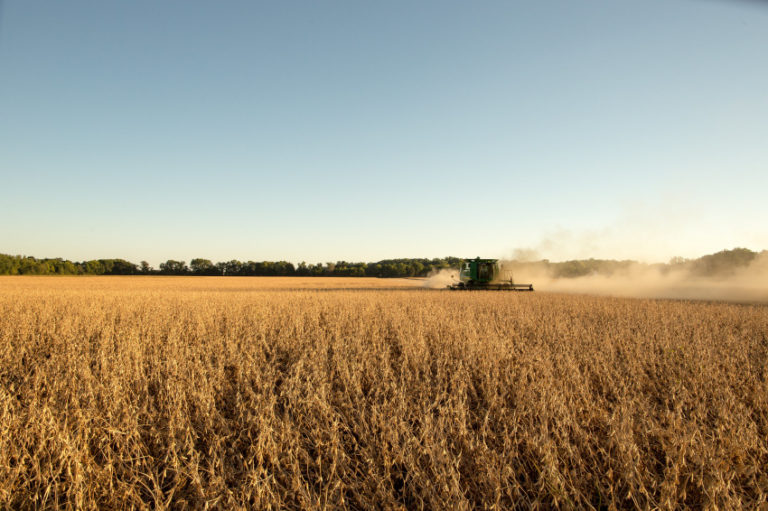 Making the Soy Connection | United Soybean Board