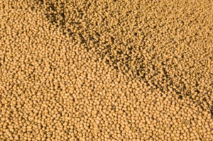 Soybean Meal: The One-Stop Solution for Nutrition | United Soybean Board