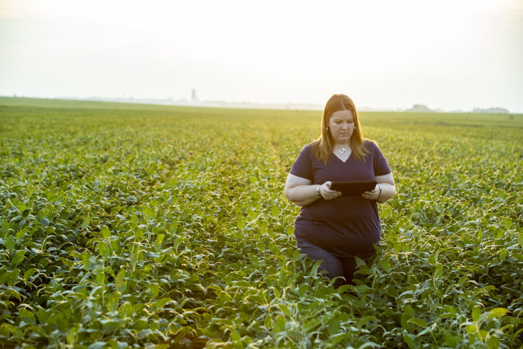 Your Soy Checkoff Offers Agronomic Support in All Areas | United ...