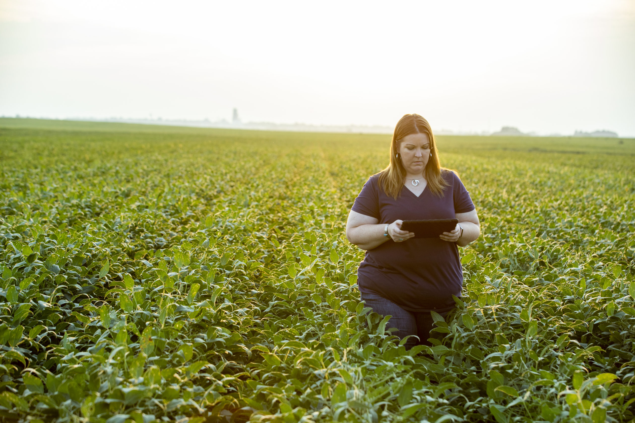 Your Soy Checkoff Offers Agronomic Support in All Areas | United ...
