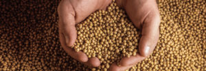 About the Checkoff | United Soybean Board