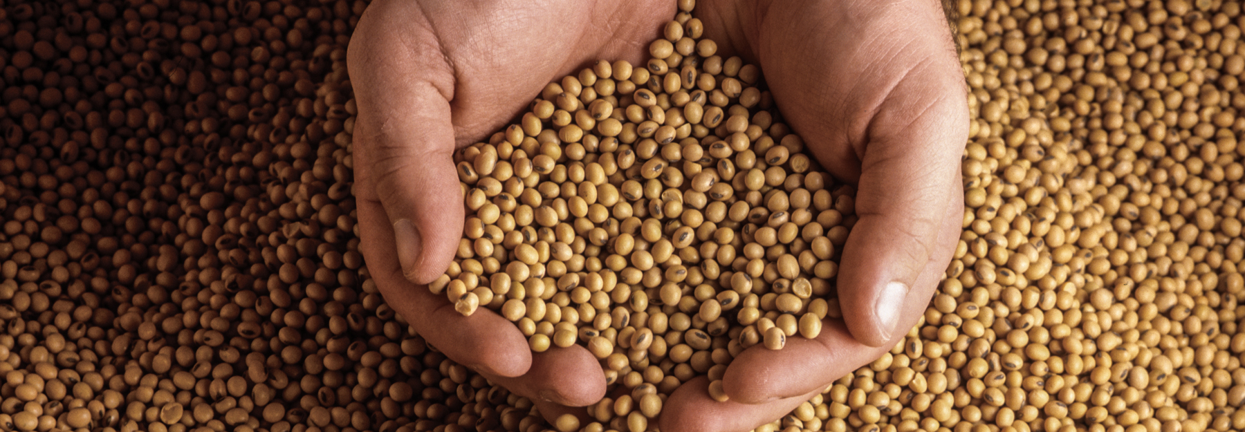 About the Checkoff | United Soybean Board