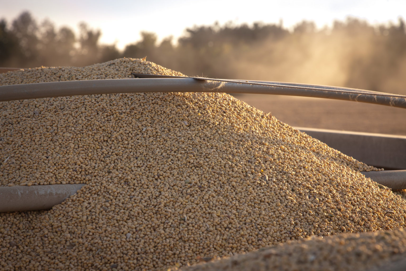 Home | United Soybean Board