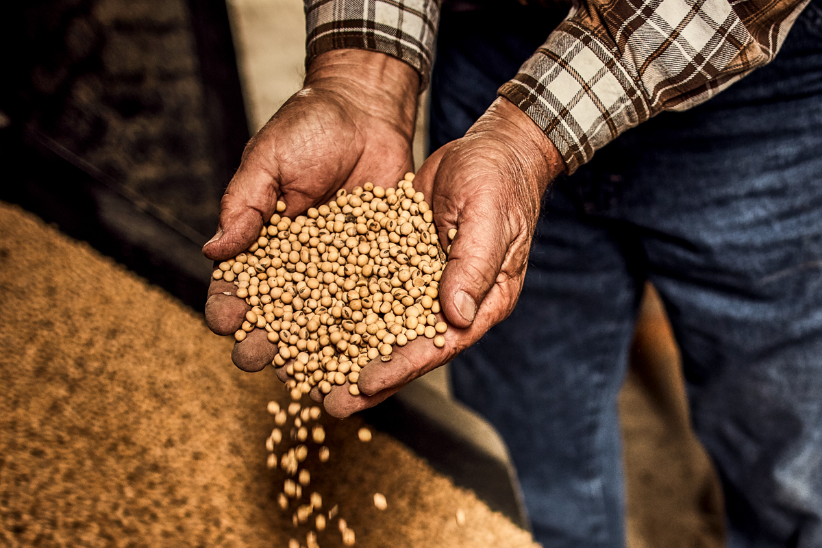 High Oleic Soybeans | United Soybean Board