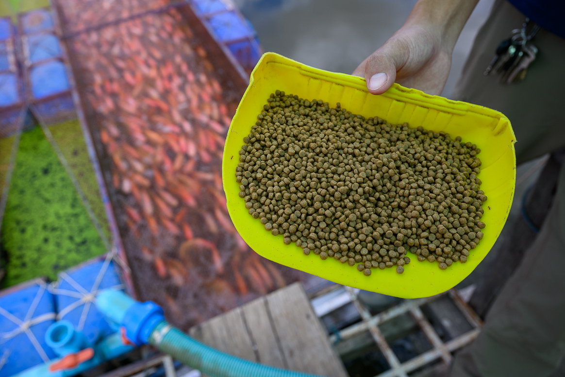 Your Soybean Checkoff Dollars Change Cambodian Lives - Commodity Board ...