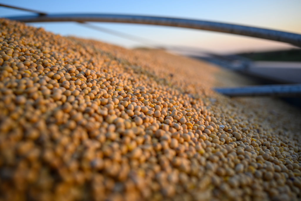 United Soybean Board Elects Meagan Kaiser as New Chair - United Soybean ...