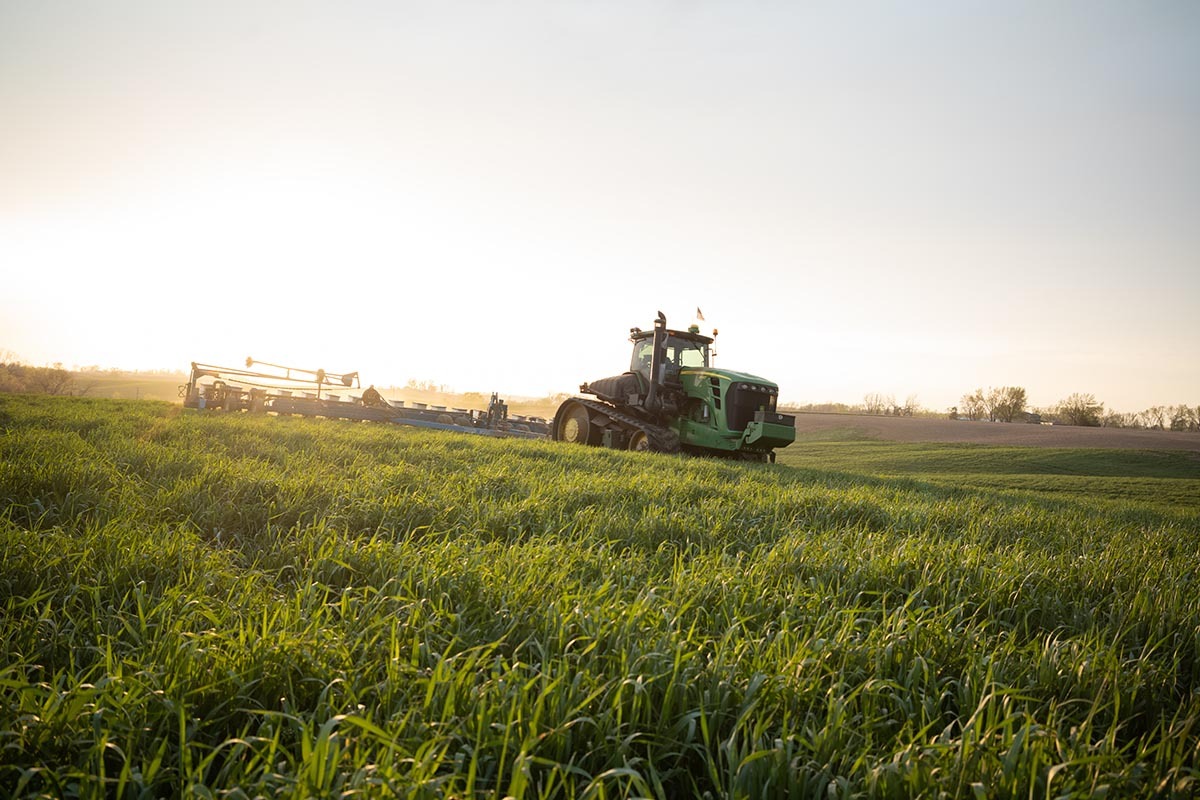 Key Considerations as You Start Your Cover Crop Journey | United ...