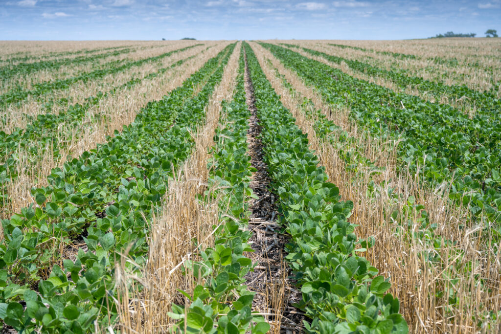 The Soy Hopper - United Soybean Board